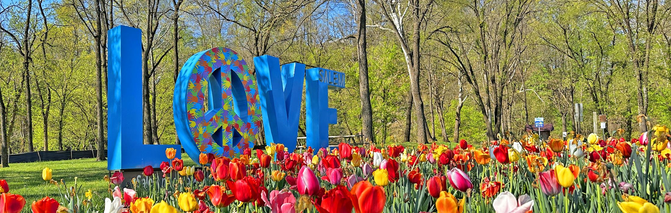 Fleet Management Division | Salem, VA